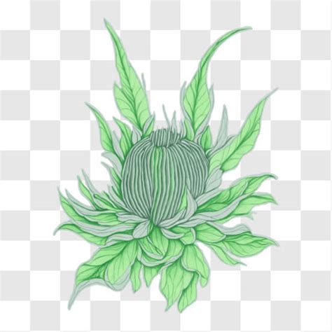 Télécharger Belle image d une plante verte et saine avec des feuilles