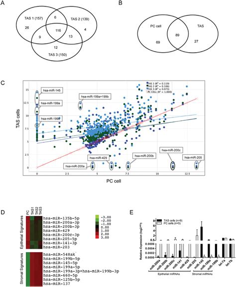 Differential Mirna Expression Of Pc Cells And Tas Cells A Venn