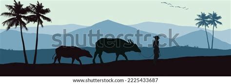 Sunset Shadding Over 1 Royalty Free Licensable Stock Illustrations