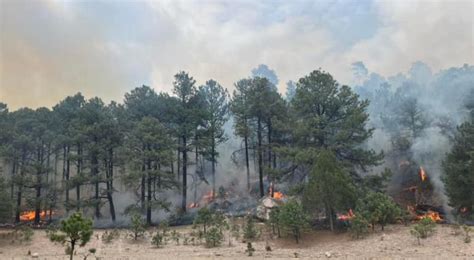 Aumentan Los Incendios Forestales Hay Tres En El Estado De Chihuahua