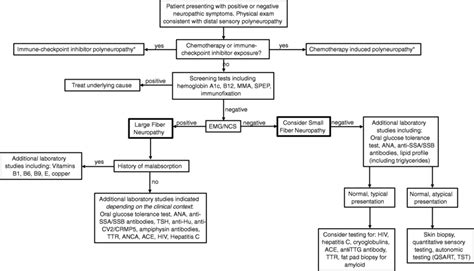 Diagnostic Approach To Acquired Polyneuropathies Abbreviations