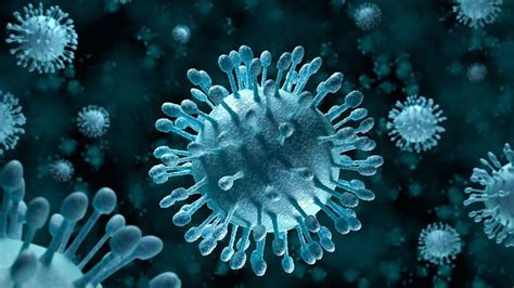 Nipah Virus Behind Mysterious Kerala Deaths All You Need To Know