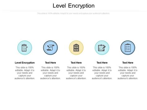 Level Encryption Ppt Powerpoint Presentation Ideas Graphics Download