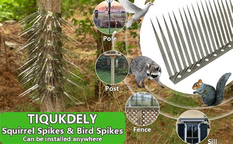 Bird Spikes Outdoor Squirrel Spikes Squirrel Baffles For