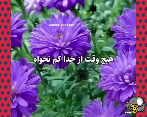 صبر و شکیبایی ، در مورد نعمت های خداوند فیلو