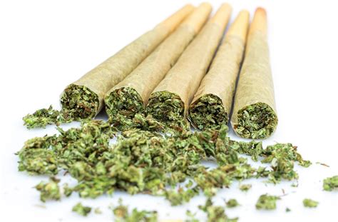 Pre Rolls 101 Convenience And Quality At Exhale Brands Paradise Nv