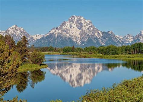 Virgin And Non Virgin Vulva Anatomy Greeting Card By Collection Abecasis