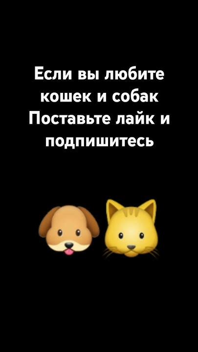 кто любит кошек и собак Поставьте лайк и подпишитесь Youtube
