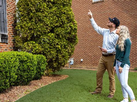 Phoenix Bee Wasp Control Services