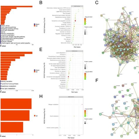kegg pathway enrichment and ppi network of deps in different