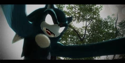 Sonic The Werehog And Shadow The Hedgehog