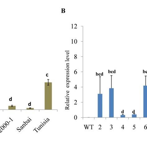 Relative Expression Level Of The Pgl0145810 1 Expression Level Of The Download Scientific