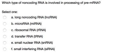 Solved Which Type Of Noncoding RNA Is Involved In Processing Chegg