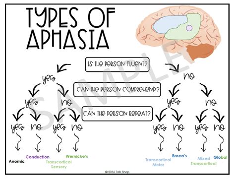 Aphasia Types