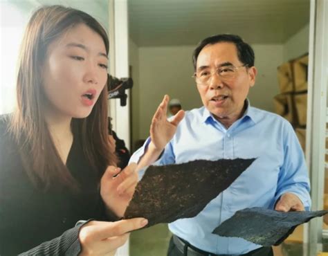 良种良法带来优产高产江苏如东条斑紫菜全产业链今年已创造产值10亿元 南通网 南通新闻资讯生活首选门户