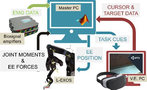 Figure 3 From An Undercomplete Autoencoder To Extract Muscle Synergies