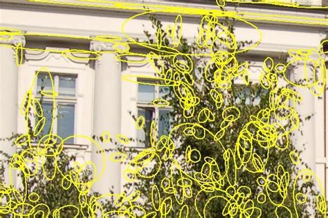 Vegetation Segmentation For Boosting Performance Of Mser Feature Download Scientific Diagram