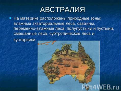 Влажные Экваториальные Леса Презентация Relizuasignature