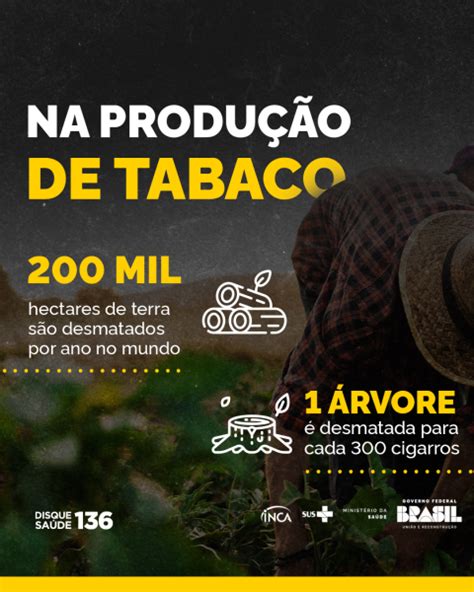 Cards para mídias sociais carrossel A produção do tabaco causa