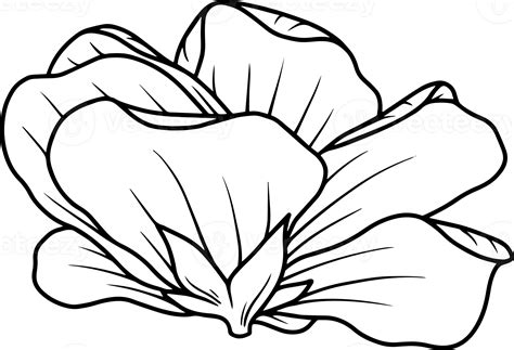 Flower Hand Drawn Sketch Line Art Illustration 10864102 Png