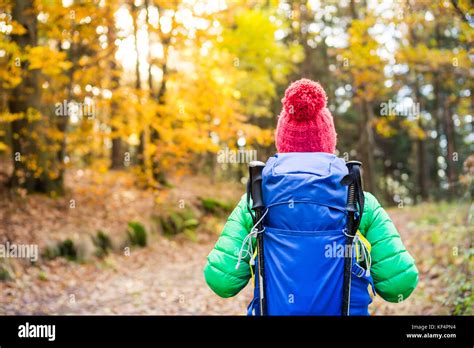 Hiking Woman With Backpack Looking At Inspirational Autumn Golden Woods