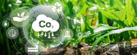 Certificación En Gestión Ambiental Nueva Iso 14001