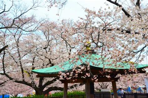 万博公園 terureruの写真館 2