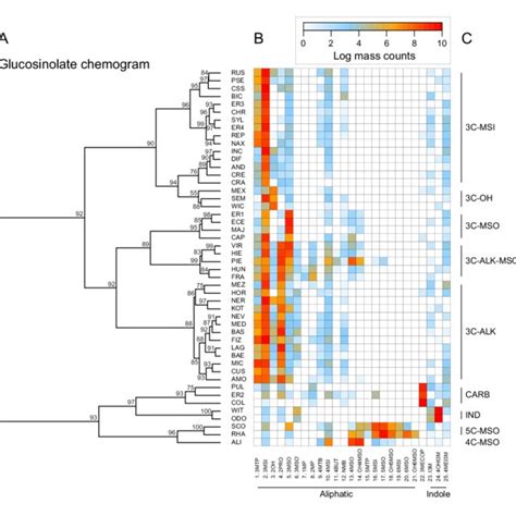 Georg Jander Professor Phd Research Profile