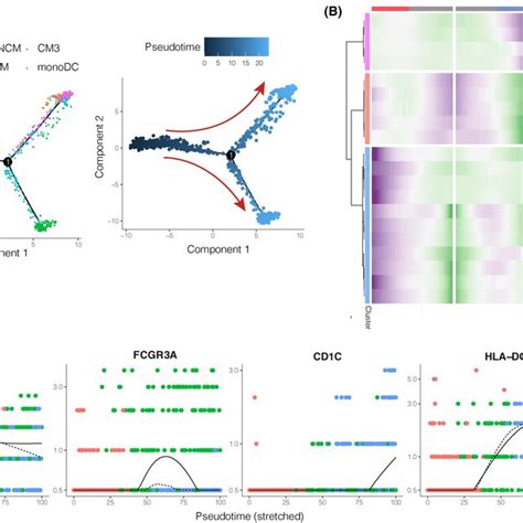Singlecell Sequencing Profiling Of Dendritic Cells And Monocytes A Download Scientific