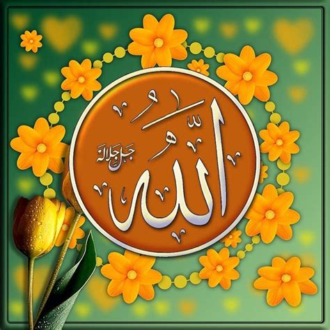 Islamic Updates Hd