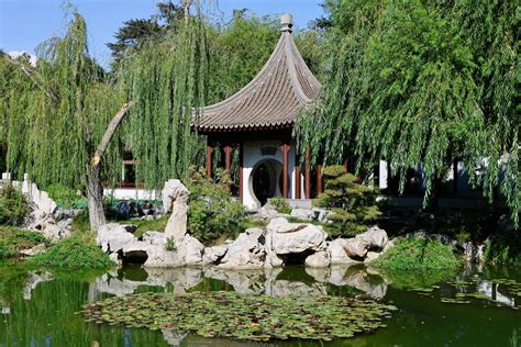 Lilylarimarpics Photos Download The Best Free Lilylarimarpics