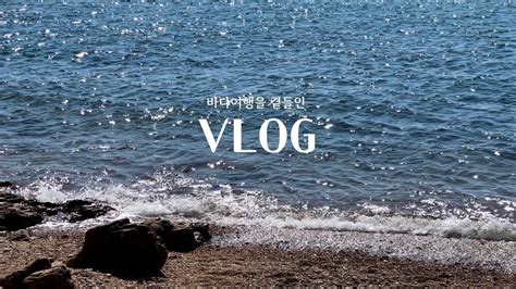 Vlog 일상브이로그최애 주꾸미볶음과 청모💍추석맞이 갈비탕 만들기여수갓김치쵸파랑 카페나들이🐶☕️긍정4인방모임와 먹부림