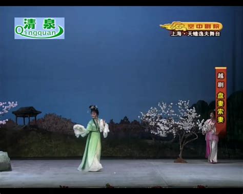 越剧《盘妻索妻》王君安 李敏哔哩哔哩bilibili