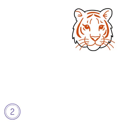 How To Draw A Tiger A Step By Step Guide From Mimi Panda How To Mimi Panda