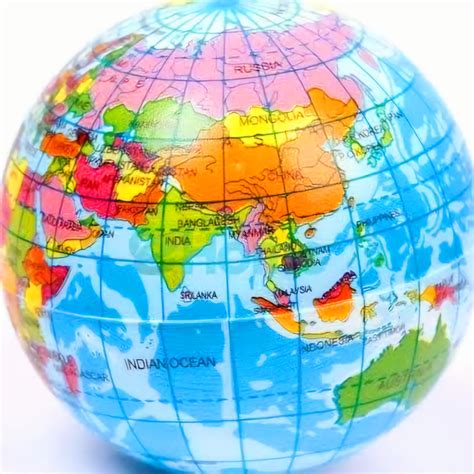 The Earth Curculio แมลงที่คุณอาจไม่เคยเห็นมาก่อน 🪲 Facebook