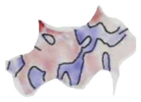 Evolutionary Optimization Effect Analysis Download Scientific Diagram