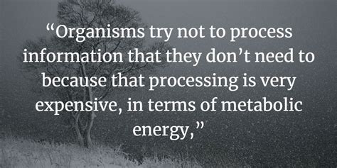 Jack Pringle Cipp Us On Linkedin I Am All In Favor Of The Lazy By Default T Shirts And Bumper Jack Pringle Cipp Us On Linkedin I Am All In Favor Of The Lazy By Default T Shirts And Bumper