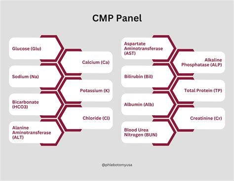 What Your Cmp Results Are Telling You Phlebotomy Usa