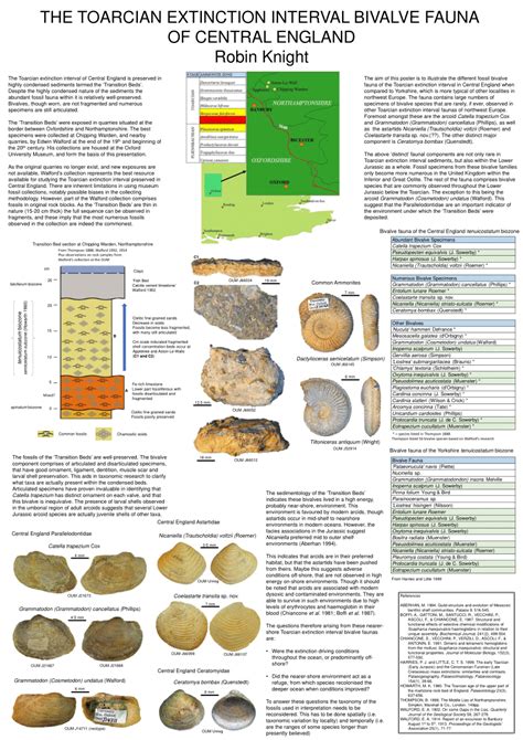 Pdf The Toarcian Extinction Interval Bivalve Fauna Of Central England