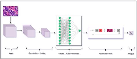 [논문 리뷰] an ensemble framework approach of hybrid quantum convolutional