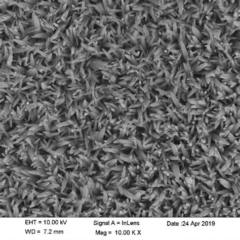 Scanning Electron Microscopy Sem Image Of Zno Nanorods Download
