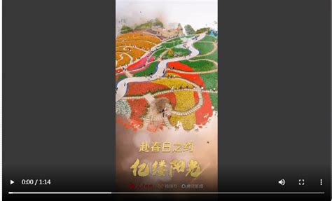 赴春日之约