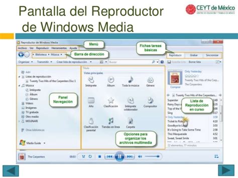 PROFE DE MATEMATICAS LUZ MARINA PINTO REPRODUCTOR WINDOWS MEDIA PLAYER
