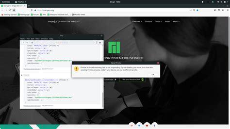 Manjaro Reporting A Bug From Ray Sometimes Results In A Error Dialog
