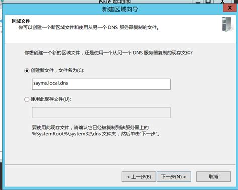 Windows Server 2012 R2 Dns服务器安装与测试（vmware Workstation环境）dns测试vm Csdn博客