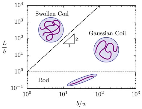 Summary Of The Classical Scaling Arguments For A Real Semiflexible Download Scientific Diagram