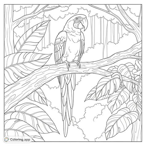Majestic Macaw On Jungle Branch Coloring App