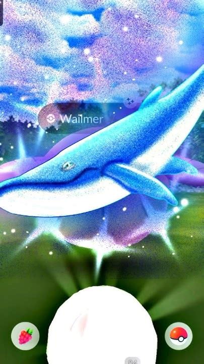 🤩got This Shiny Whale 🐋 In Pokemon Go Shundo Highcppokemon Rareshiny