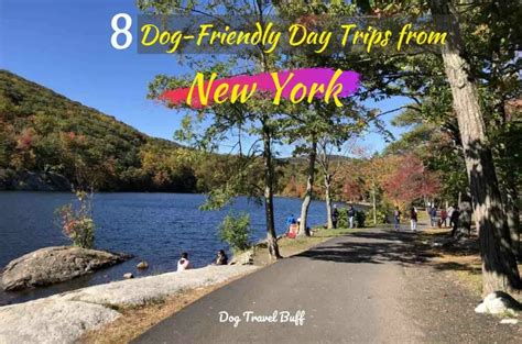 8 Best Dog Friendly Day Trips From Nyc