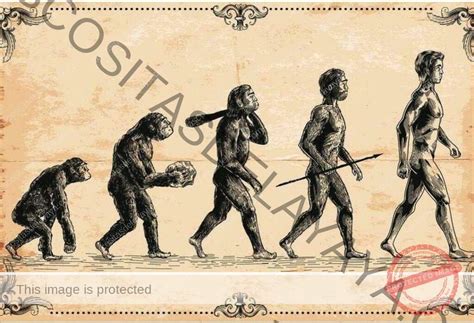 El origen y evolución del Homo sapiens Un viaje fascinante en la